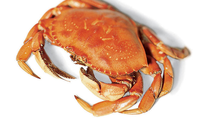 Frozen Crab Cuts 700g — Free UK Delivery – Niyis African Supermarket