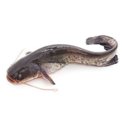 Frozen Catfish Bag 2.5kg – Niyis African Supermarket